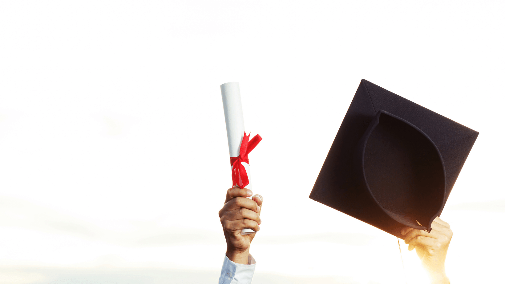 Undergraduate Programmes | IDEA Academy UAE